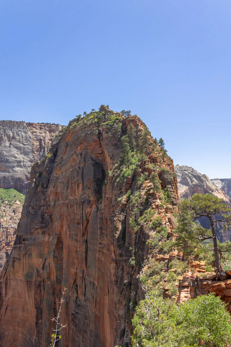 TIPS FOR HIKING ANGELS LANDING: AN ULTIMATE TRAIL GUIDE - I AM CASEY LEE