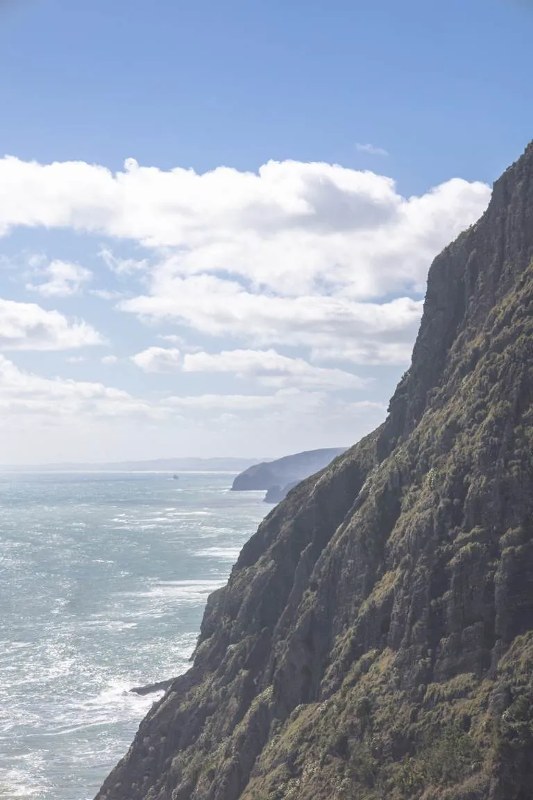 MERCER BAY LOOP – AN AUCKLAND CLASSIC - I AM CASEY LEE